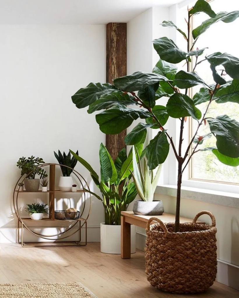 Clean, Green, and Serene – The Green House
